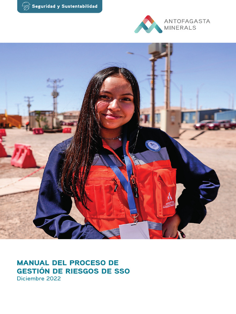 Manual del proceso de gestion de riesgos de SSO AMSA vf | PDF Manual del proceso de gestion de riesgos de SSO AMSA vf | PDF