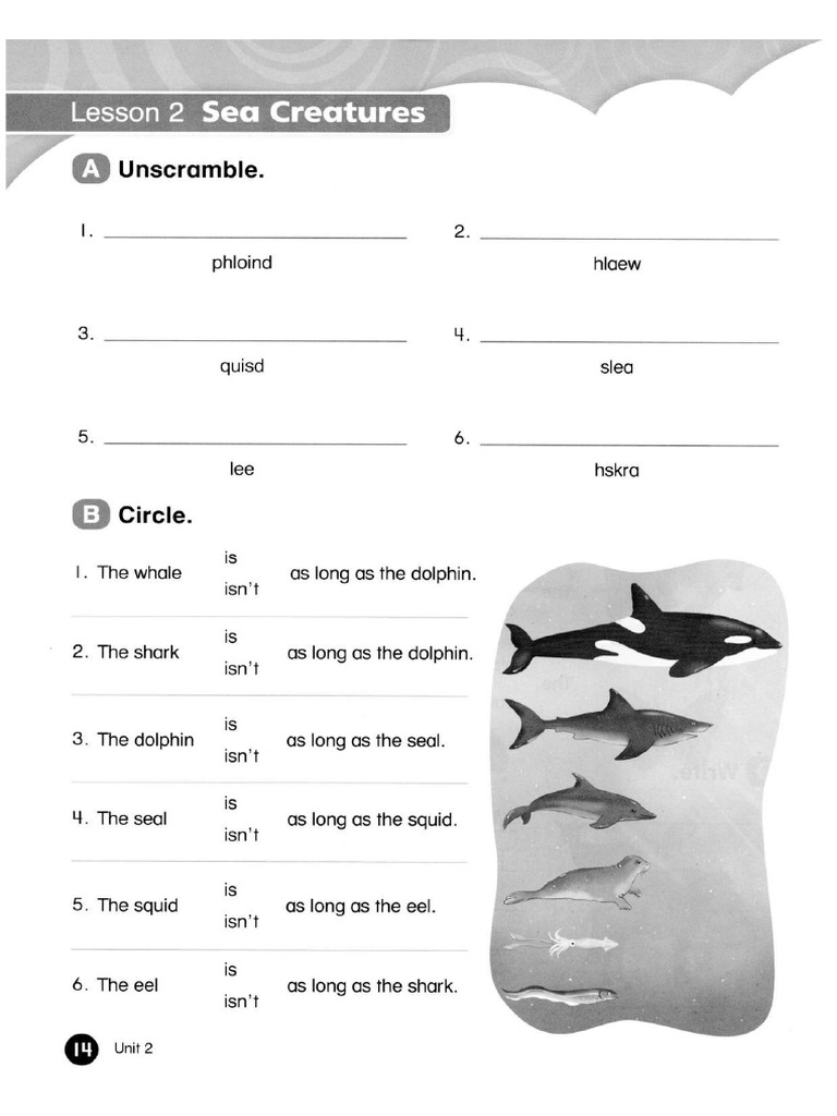 Eb4 - U2 - L2 (WB) | PDF