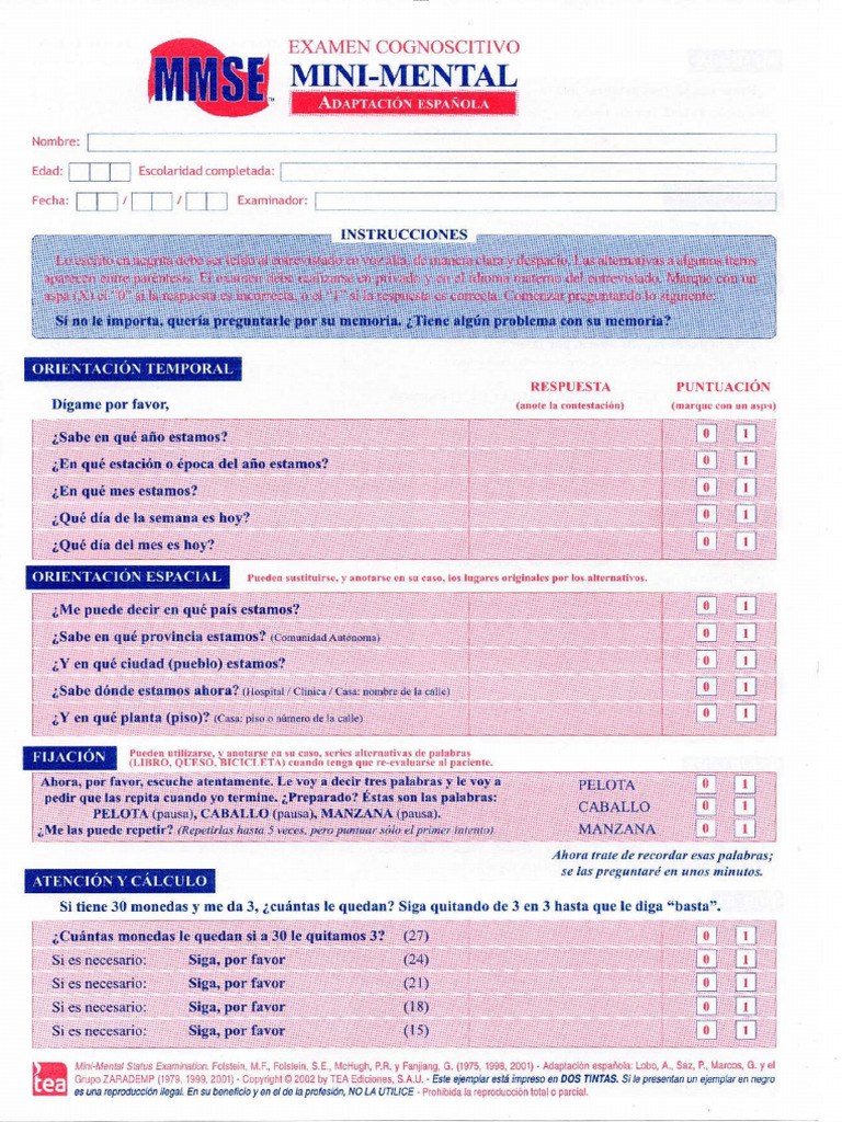 Mini-Mental (Test) - Adulto Mayor | PDF