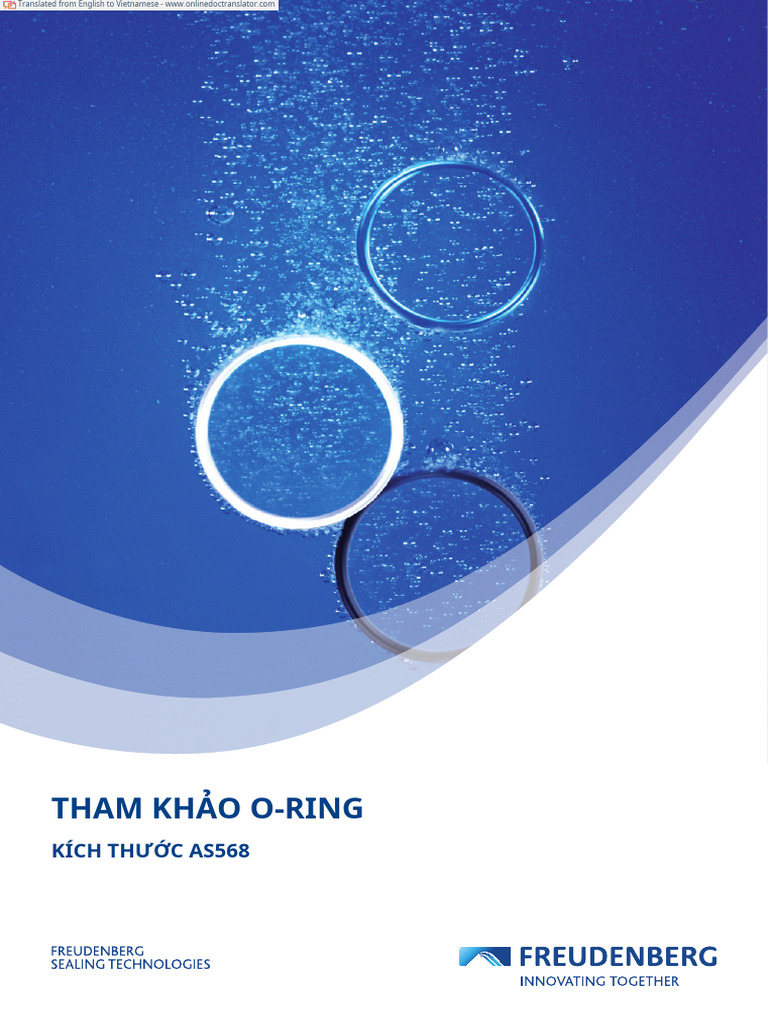 FST O Ring AS568 Size Guide - A4 Online - En.vi | PDF