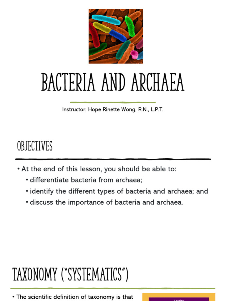 Archaea Bacteria | PDF
