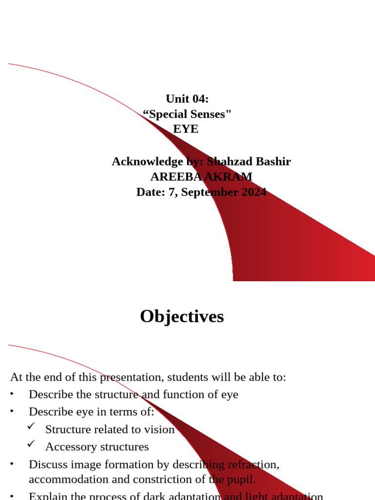 Unit 4 Eye | PDF