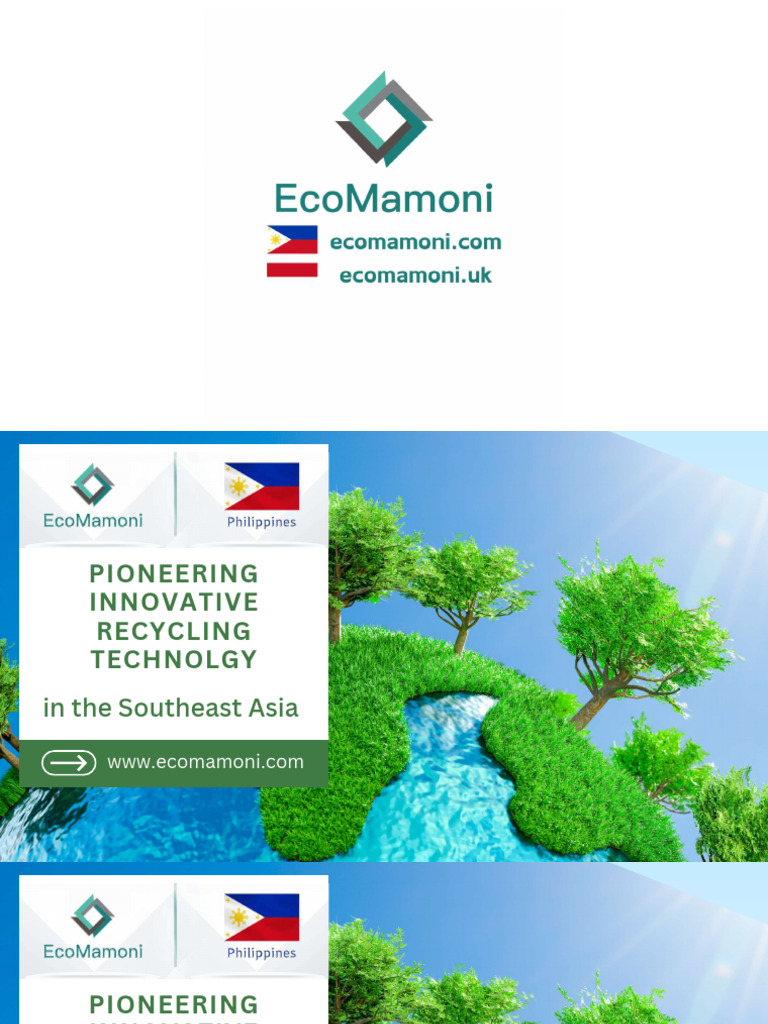 Ecomamoni Comprehensive Company Overview Strategy Presentation 7 | PDF