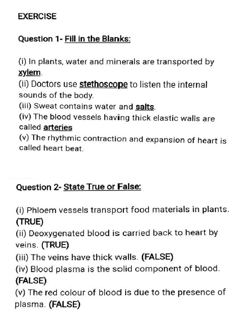 Default Folder 20240130 | PDF