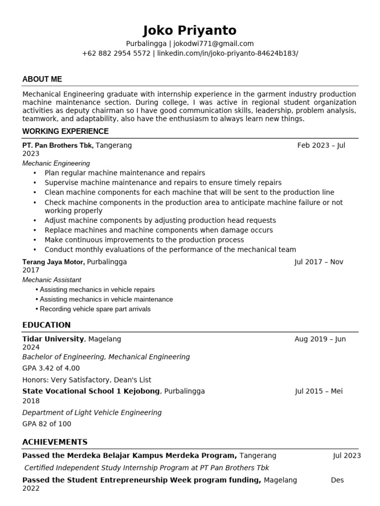 CV Template 2024 | PDF