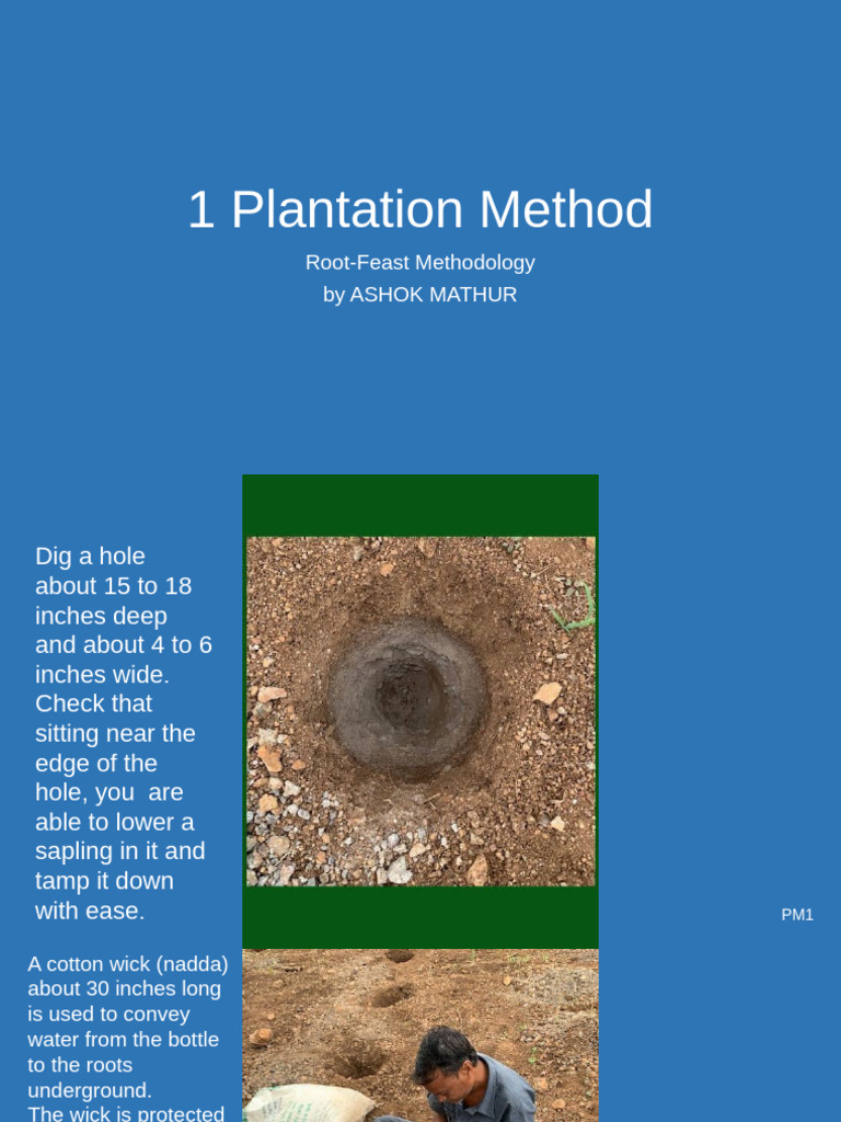 1 - Root Feast - Plantation Method | PDF