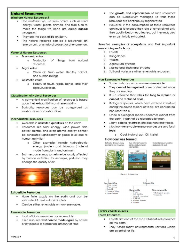 (L3) Natural Resources | PDF