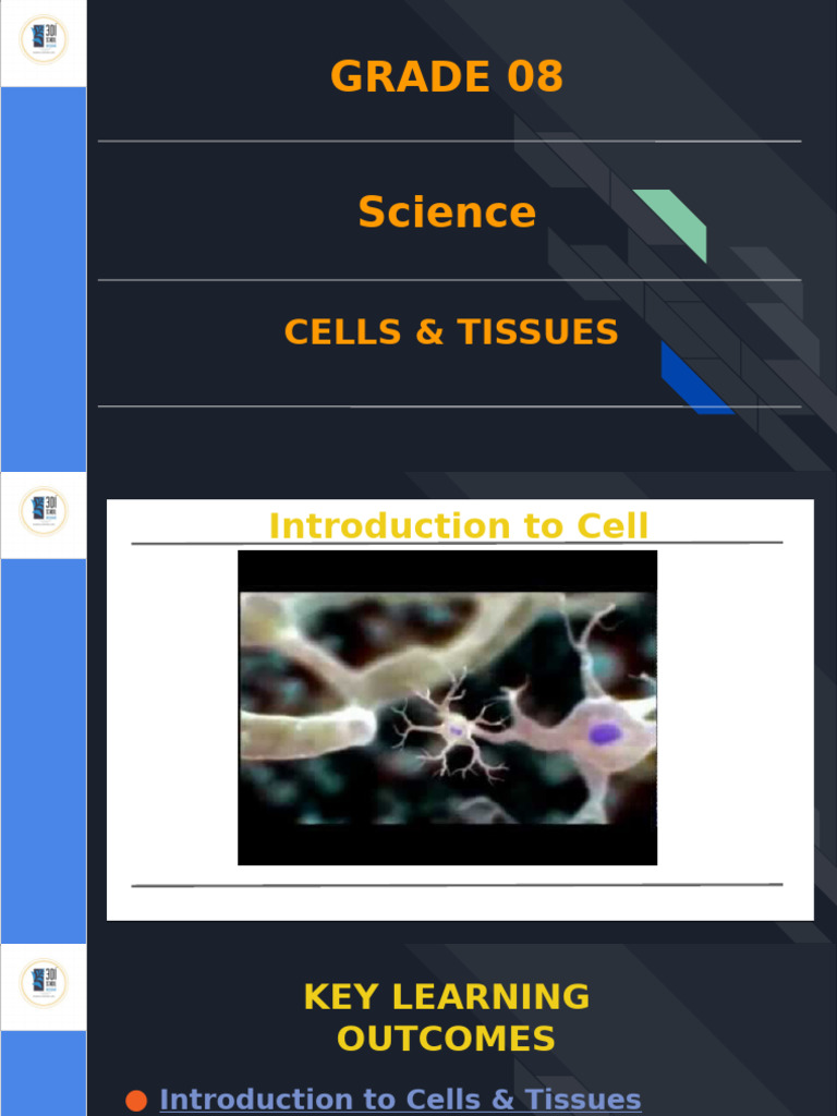 Grade 08 - Science - Cells & Tissues - 2 Cell & Observing A Cell | PDF ...