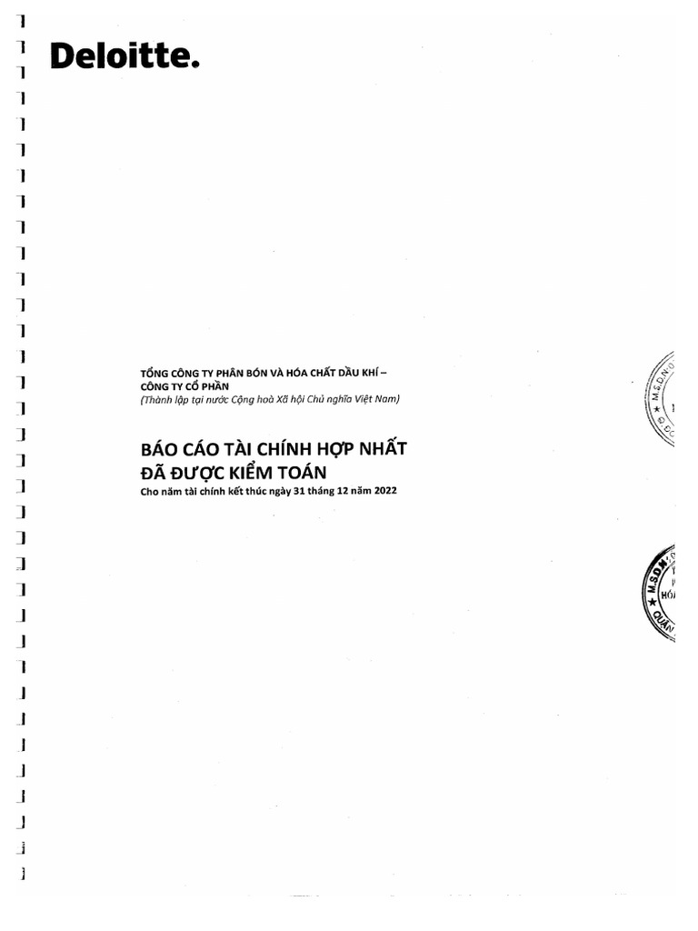 BCTC Hop Nhat Sau KT Nam 2022 | PDF