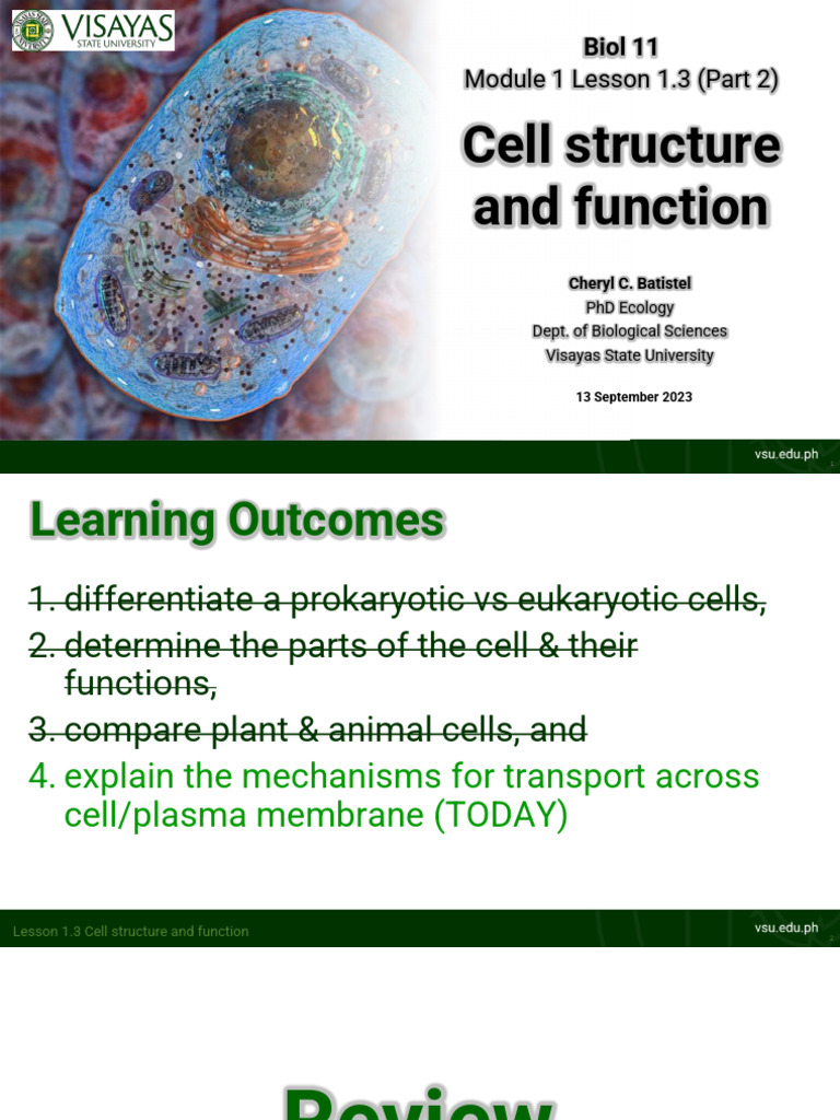 Lesson 1.3 Cell Structure Function PART 2 | PDF