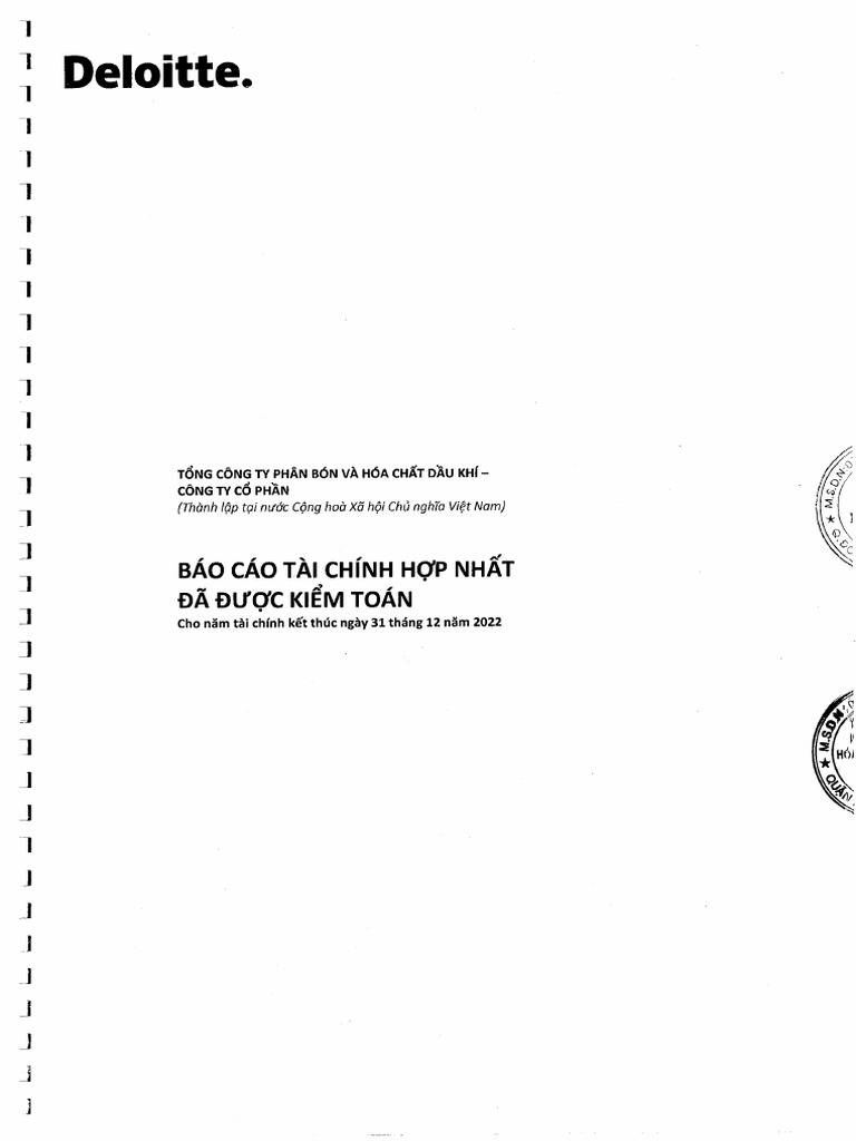 BCTC Hop Nhat Sau KT Nam 2022 | PDF
