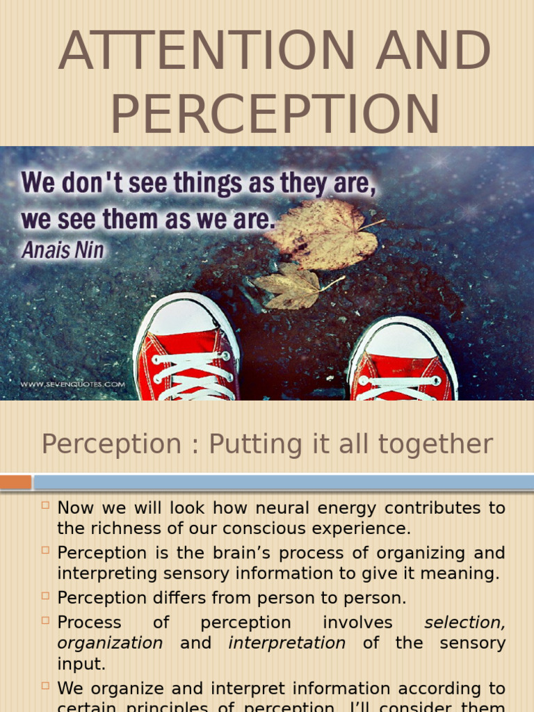 Attention and Perception | PDF