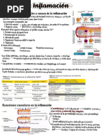 Etapas de La Inflamacion PDF | PDF | Inflamación | Inmunología