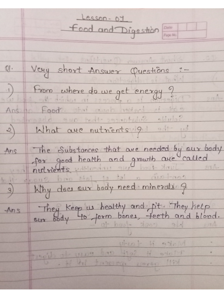 Class - 4 EVS COPY WORK.... | PDF