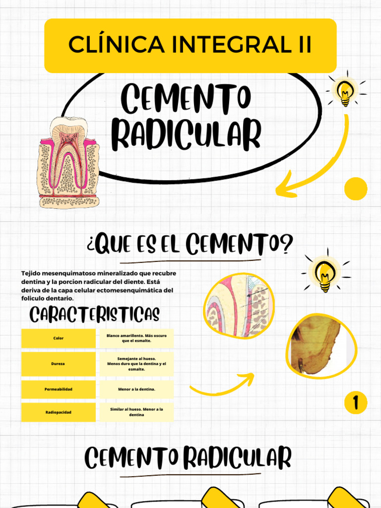 Cemento Radicular | PDF