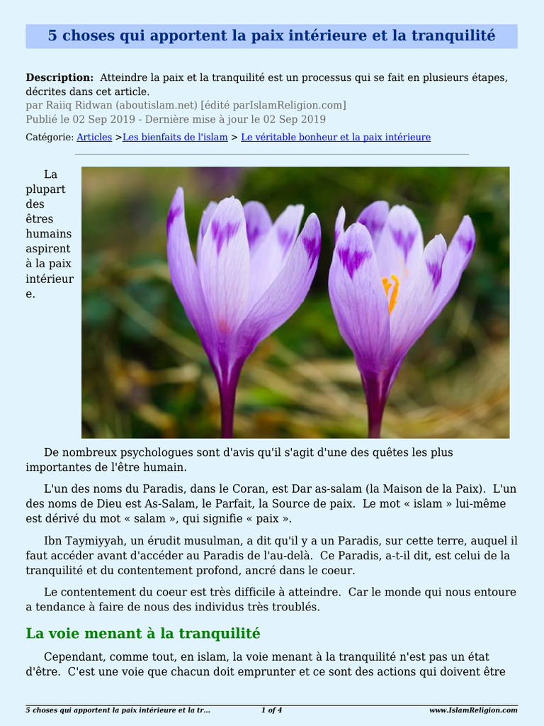 5 Things Bring Inner Peace and Tranquility 11385 FR | PDF