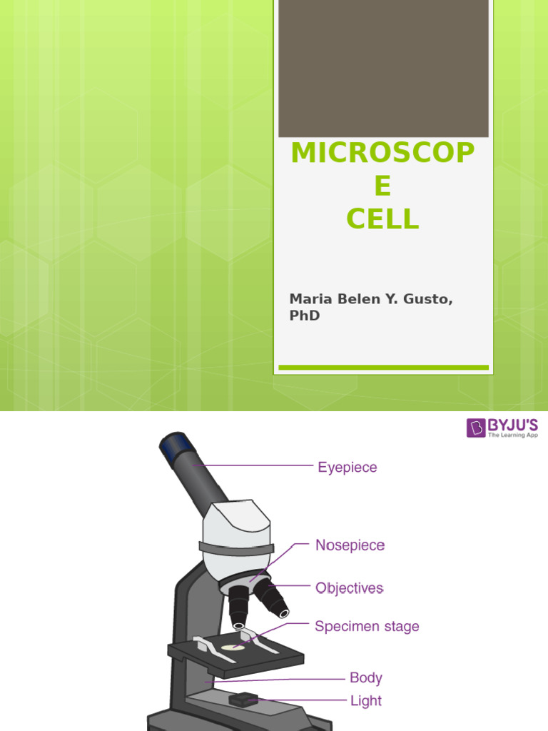 Microscope Cell | PDF | Cell (Biology) | Science & Mathematics