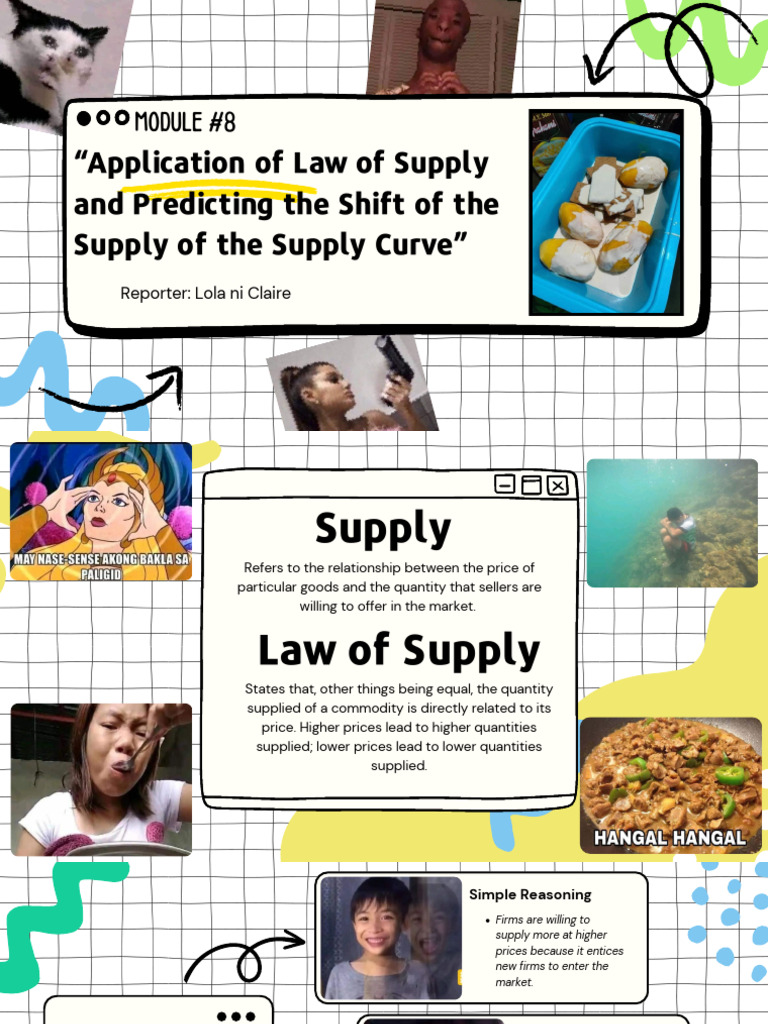 Application of Law of Supply | PDF