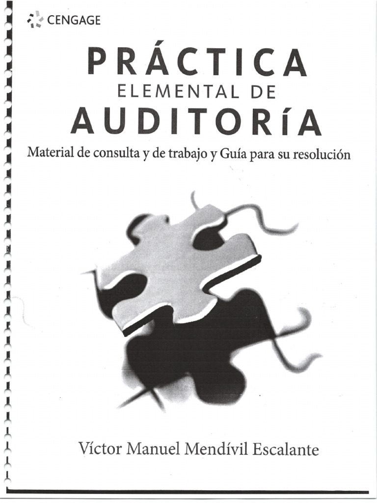 Practica Elemental de Auditoría | PDF