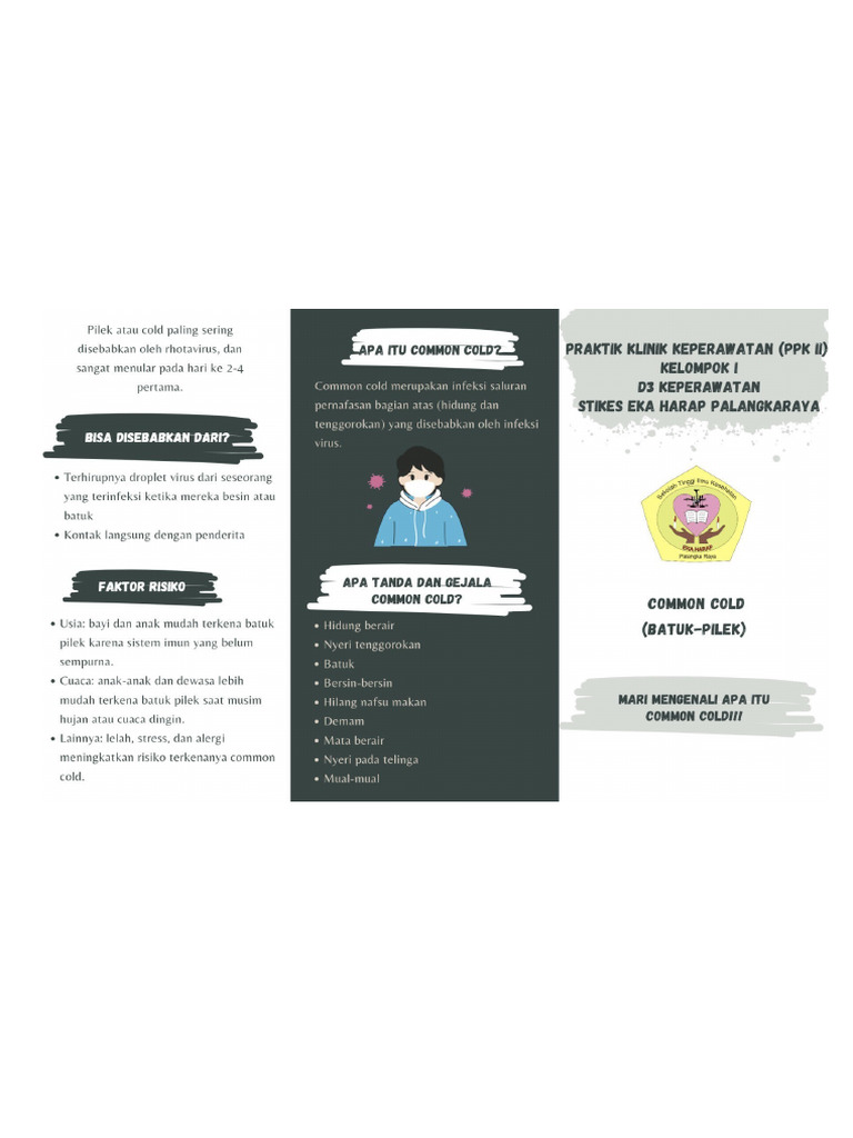 Leaflet Common Cold | PDF