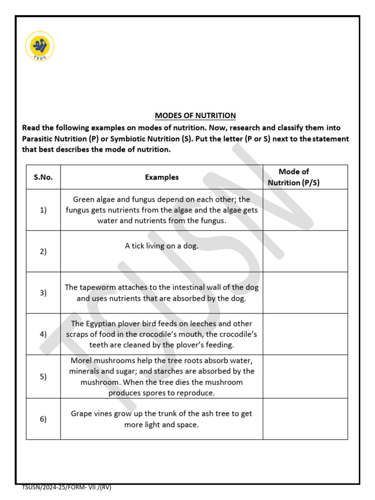 P Sheet Nutrition in Plant-2 | PDF