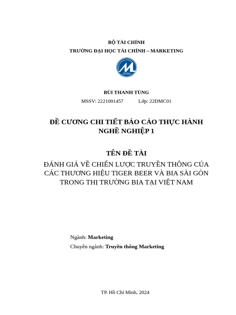 BÙI THANH TÙNG - THNN1 - Final1 | PDF | Ho Chi Minh City | Career & Growth