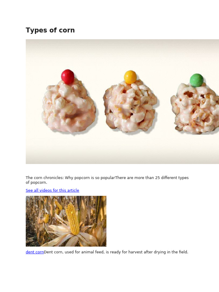 Types of Corn: The Corn Chronicles: Why Popcorn Is So Popularthere Are More Than 25 Different ...