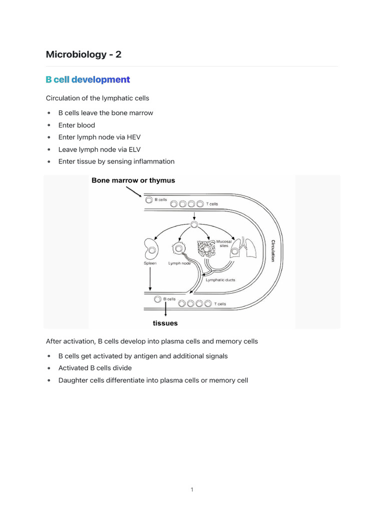 Microbiology - 2 | PDF