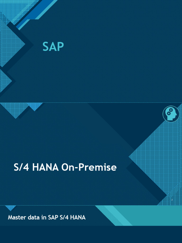 Customize Sap Implementation Project Template | PDF