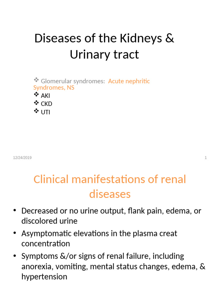 C Diseases of The Kidneys 2012 EDITTED | PDF