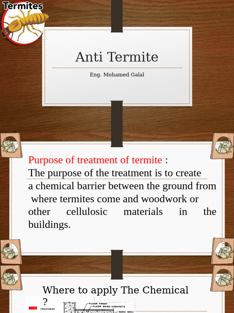 Anti Termite | PDF