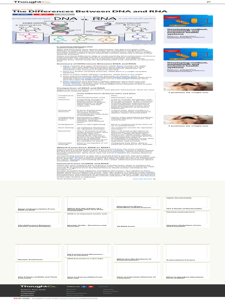 The Differences Between DNA and RNA | PDF