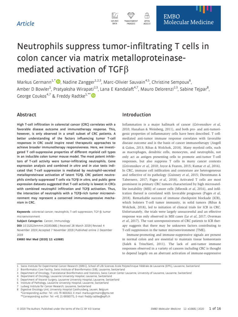 Neutrophils Suppress Tumor-Infiltrating T Cells in Colon Cancer Via Matrix ...