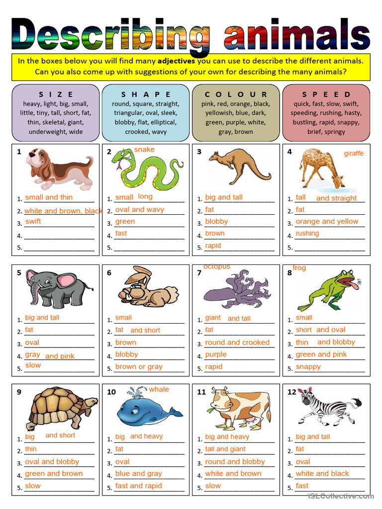 Describing animals (adjectives) | PDF
