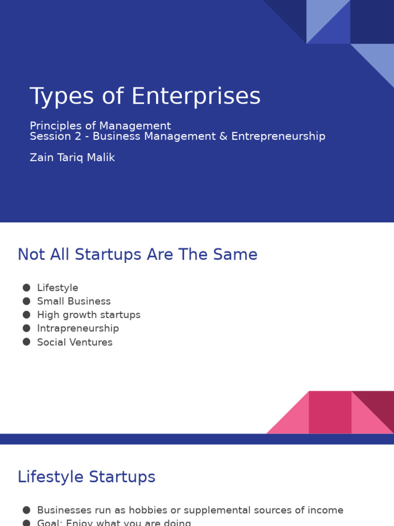 4 - Types of Enterprises 05032024 114743am | PDF