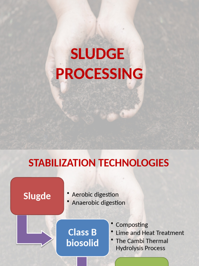 Sludge Processing | PDF | Science & Mathematics | Cooking, Food & Wine