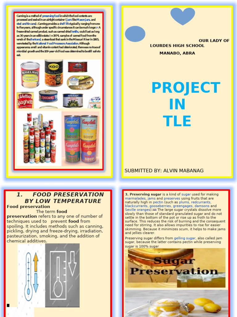 Project IN TLE: Our Lady of Lourdes High School Manabo, Abra | PDF