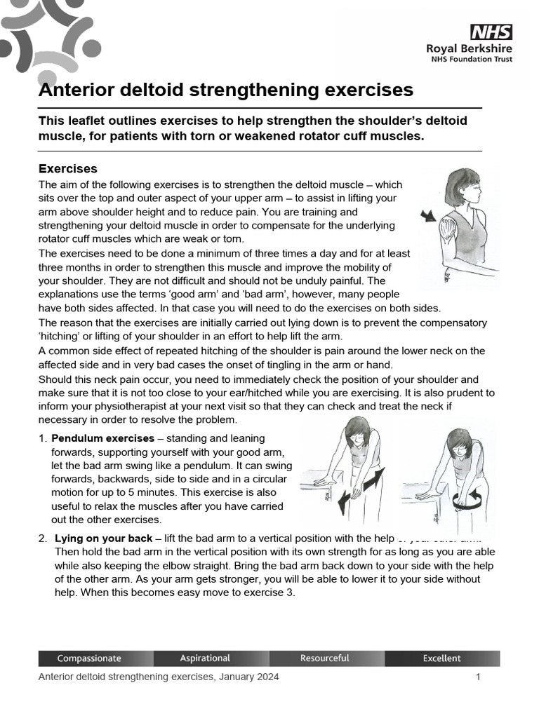 Anterior Deltoid Strengthening Exercises - Jan24 | PDF