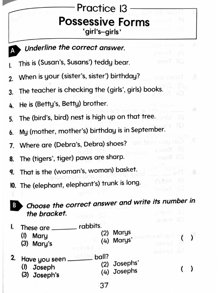 practise 13 possessive forms girls girl | PDF