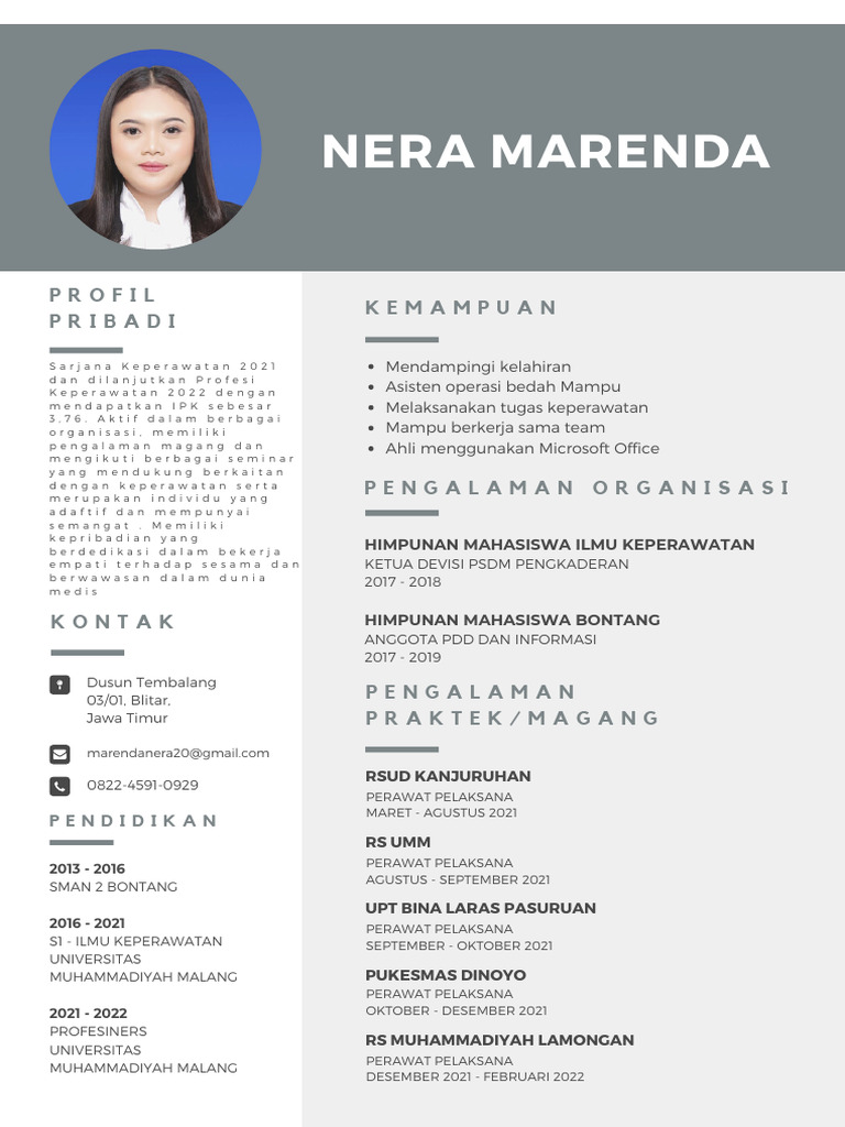 Modern Profesional Resume-4 | PDF