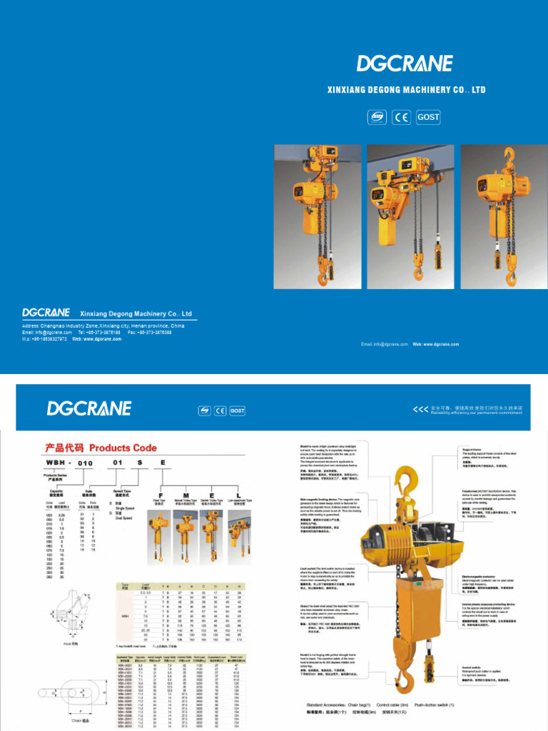 Chain Hoist Specifications Dgcrane | PDF
