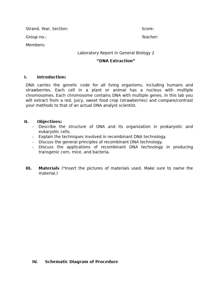 Laboratory Report Template | PDF
