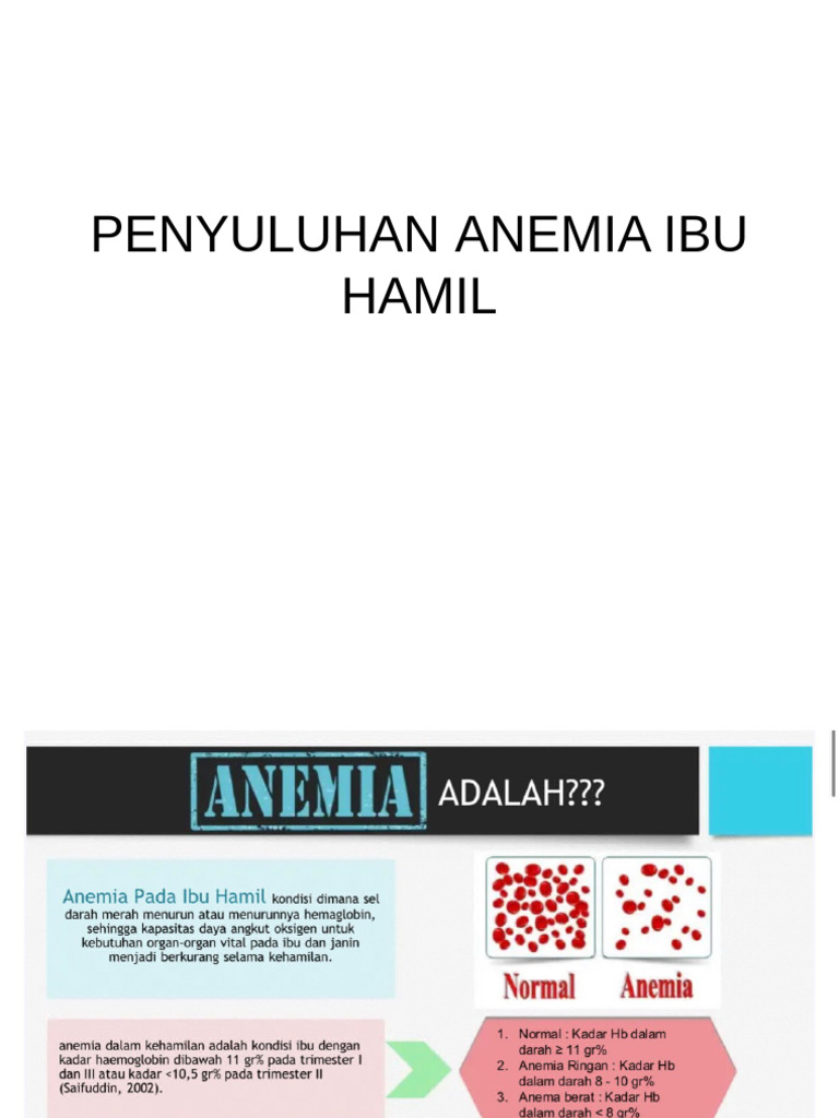 Penyuluhan Anemia Ibu Hamil 2 | PDF