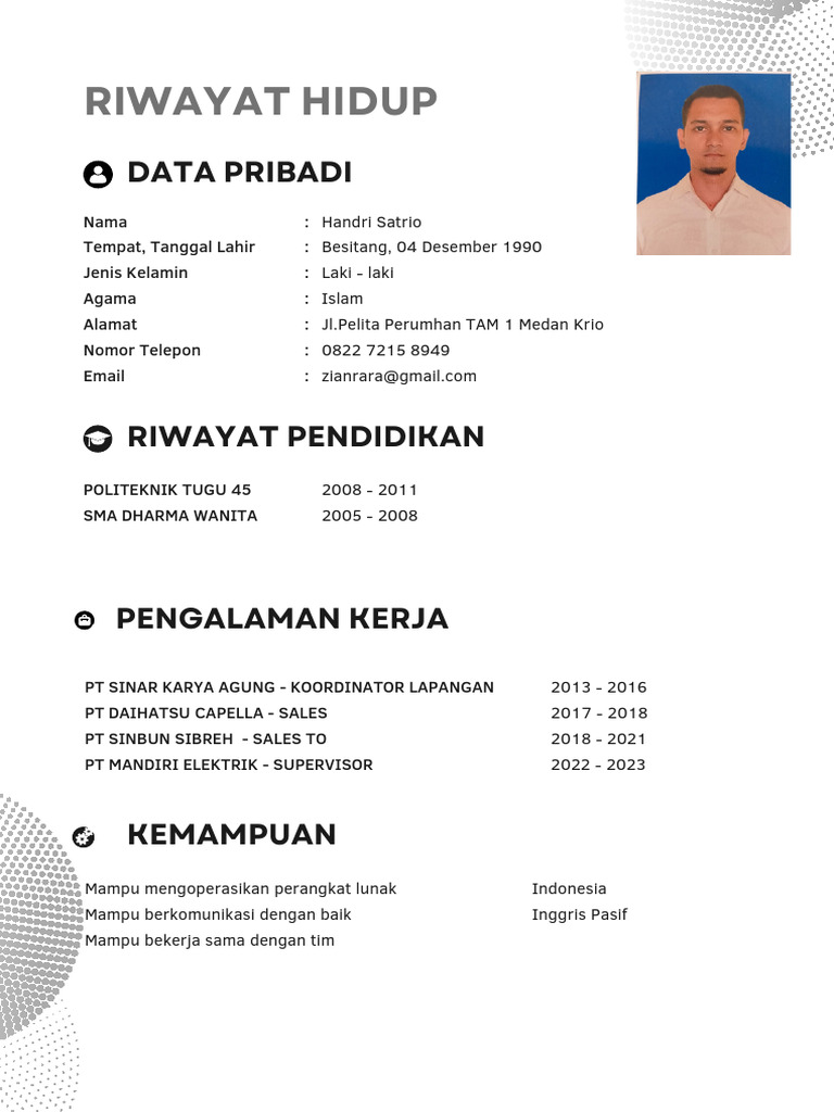 My New CV | PDF