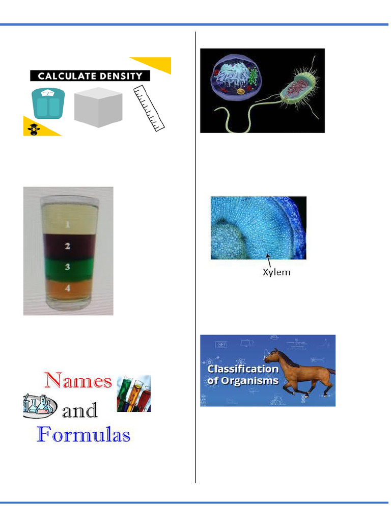 Science Category 4 Grades 9th 10th SAMPLE TEST | PDF