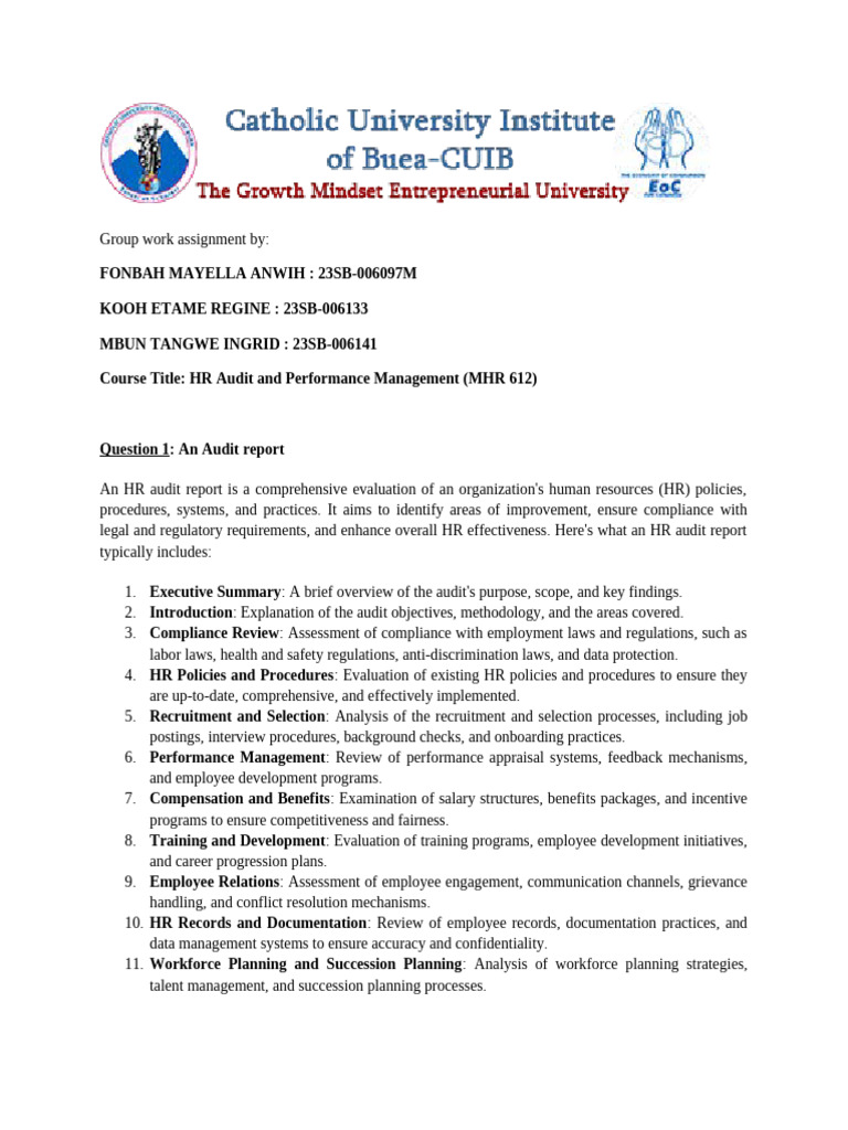 HR Group Work Assignment | PDF