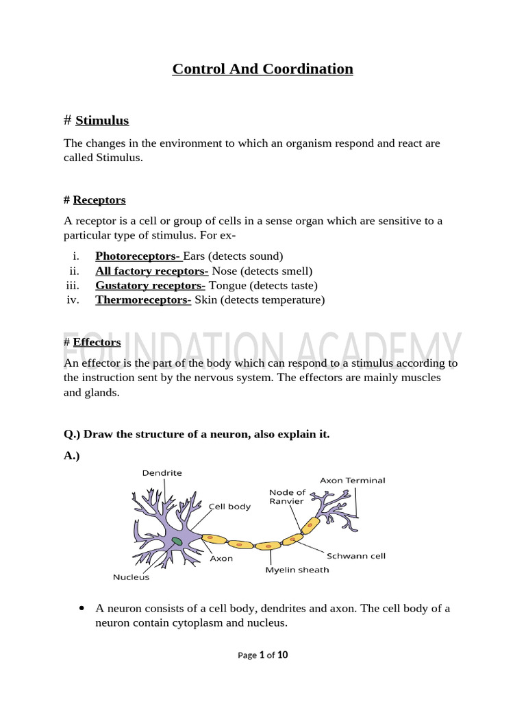 Control And Coordination class 10 notes | PDF