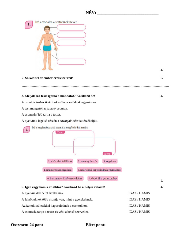 Testrészek, Érzékszervek, Mozgás Szervrendszere-Röpdolgozat | PDF