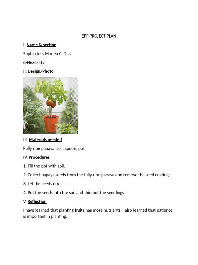 Epp Project Plan | PDF