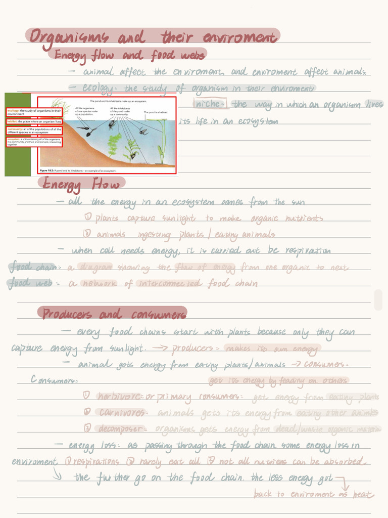 Biology Igcse Note | PDF